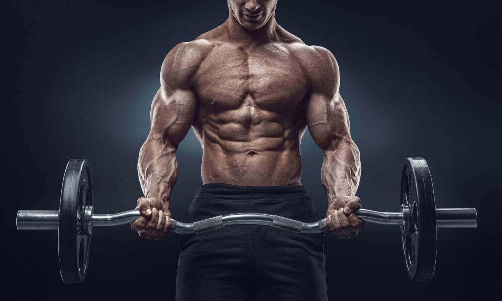 8 Best Workouts to Gain Muscle - Muscles Magician