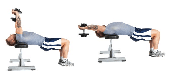 7 Best Chest Exercises for Building Muscle - Muscles Magician