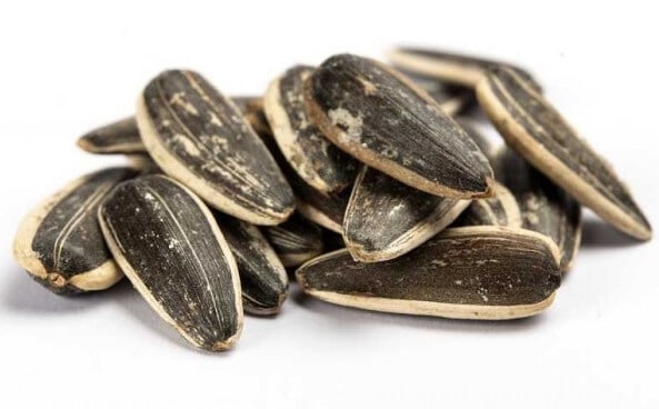 9 Best Muscle Building Snacks You Should Eat - Muscles Magician