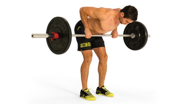 8 Exercises to Avoid at the Gym If You Are a Beginner - Muscles Magician
